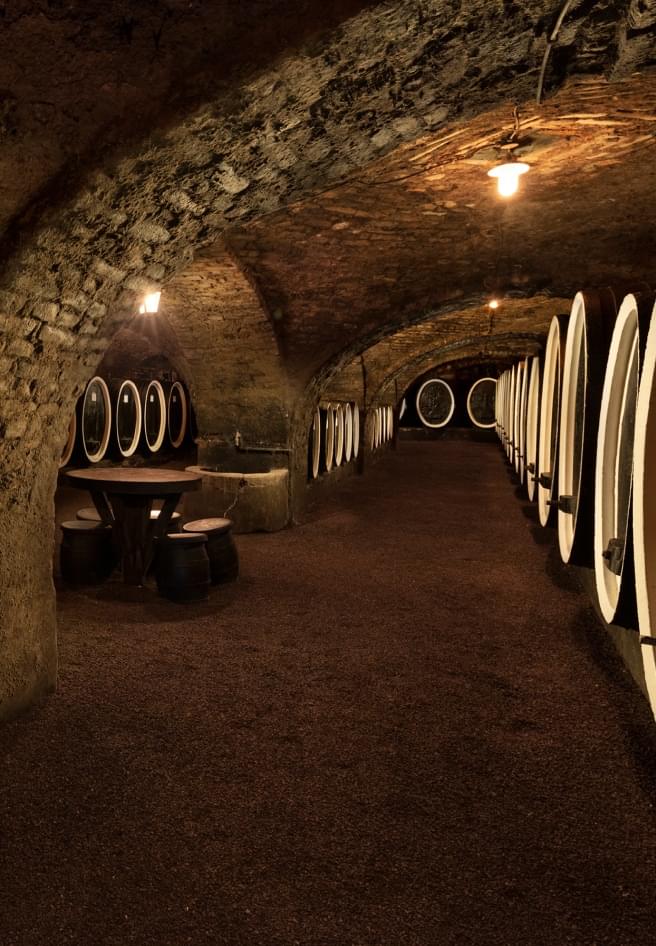 Kutjevački podrum: Slavonska vinska tradicija | TZPSZ