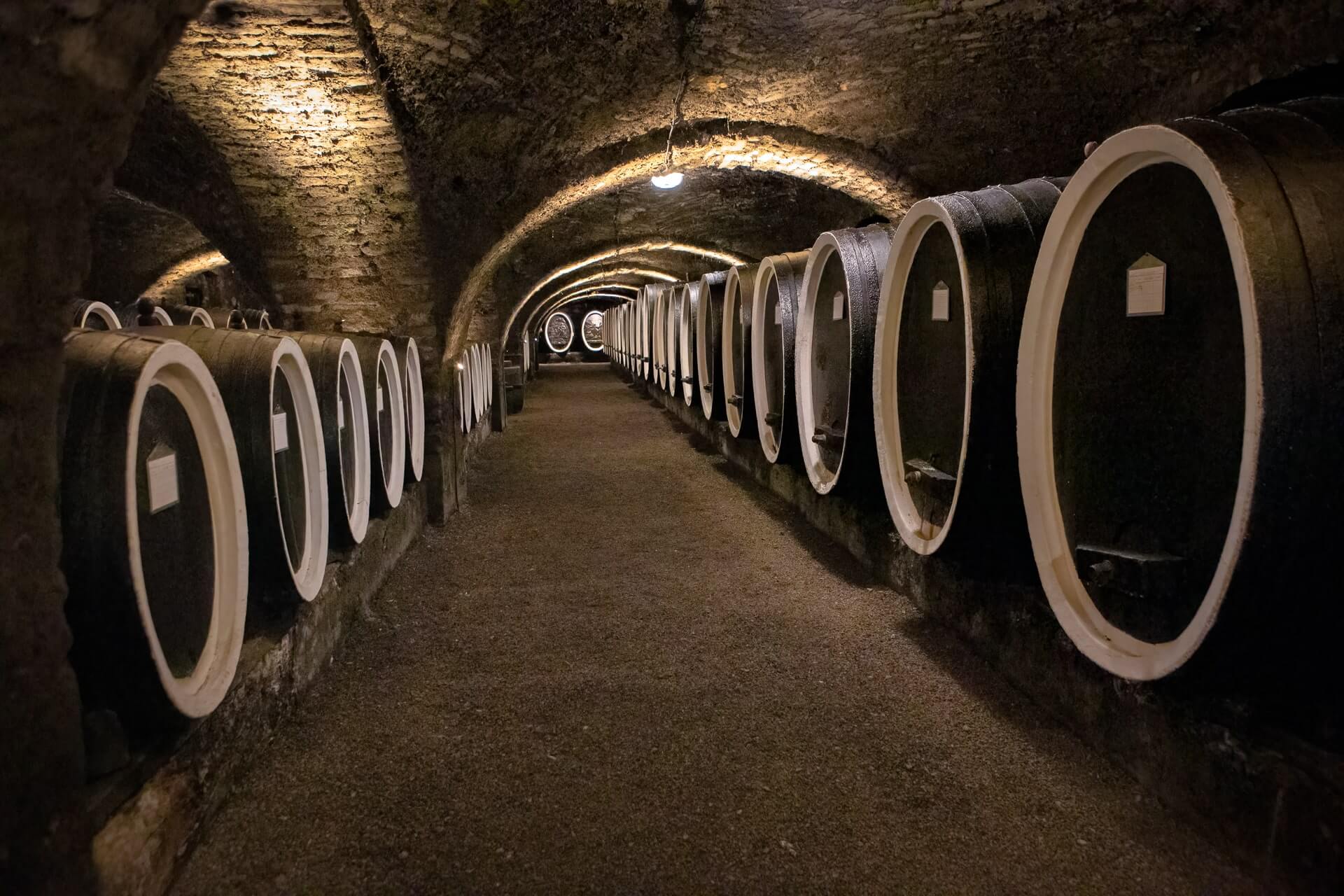 Kutjevački podrum: Slavonska vinska tradicija | TZPSZ